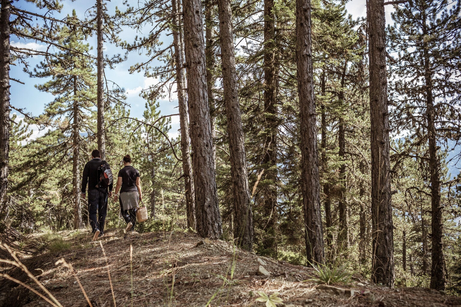 Gallery - Grand Forest Metsovo